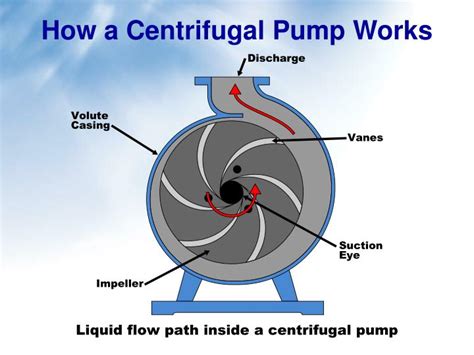 Centrifugal Pump How It Works What Is A Centrifugal Pump And How It