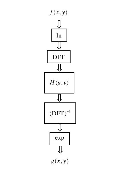 The Flow Of Homomorphic Filtering Download Scientific Diagram