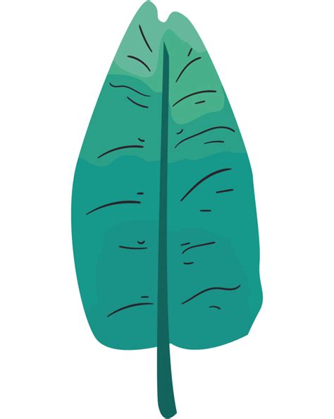 Leaf Exotic Nature Element 51866699 Png