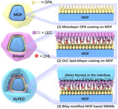 Scheme Of The Surface Modification Of Mof And The Synthesis Of Download Scientific Diagram