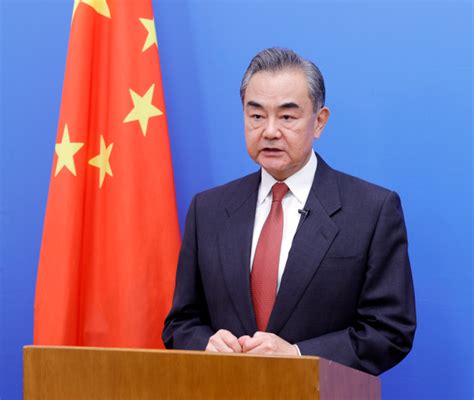 王毅出席《全球发展报告》发布会 国家国际发展合作署