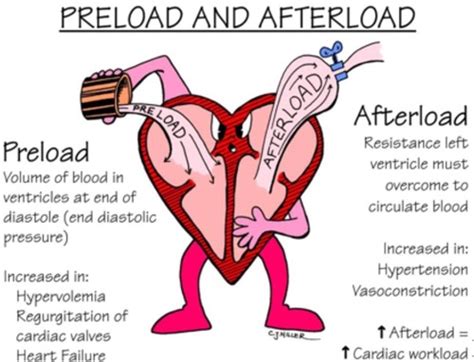Hemodynamic Monitoring Flashcards Quizlet