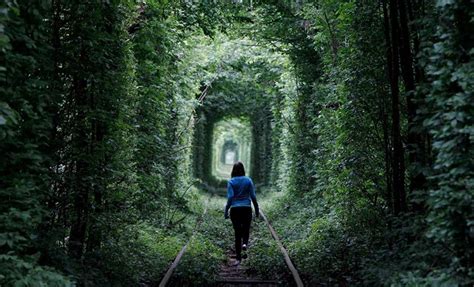 Tunnel Of Love The Interaction Between Man And Nature In Kevlan Ukraine Sustainable Diary