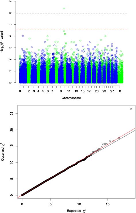 manhattan plot displaying the gwa results −log10 p of the