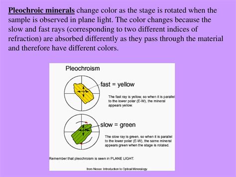 Ppt The Polarizing Lens Microscope Powerpoint Presentation Free