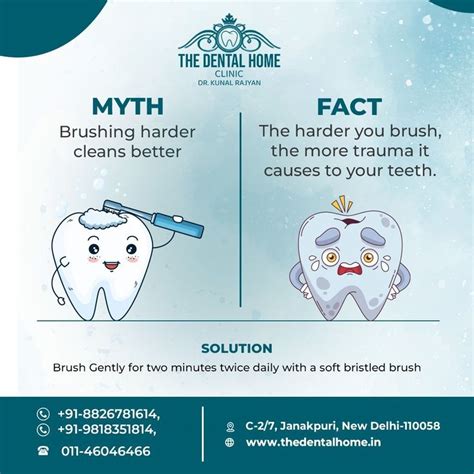 Dental Myth Vs Fact Unveiling The Truth Behind Common Misconceptions
