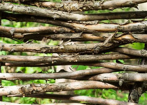 What Is This Revolutionary Technique In Frances Morvan Range To Fight Against Global Warming