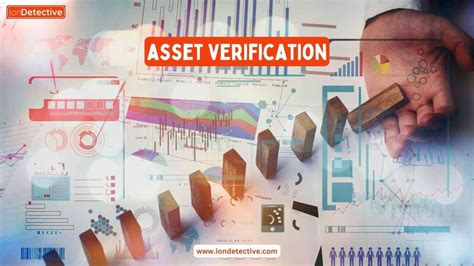 Asset Verification Ion Detective