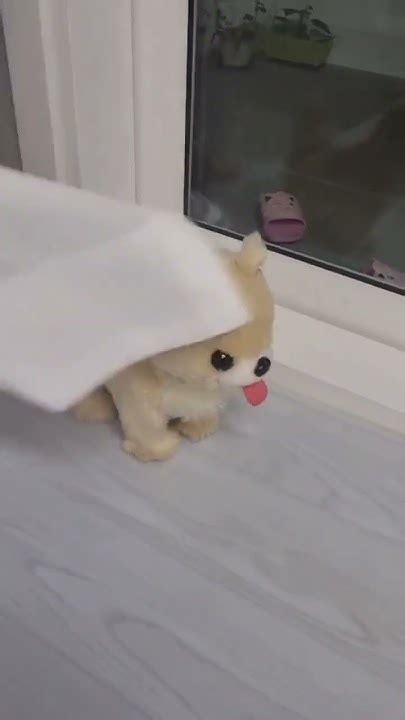 귀여운 강아지 인형 Youtube