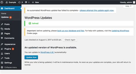 Fixing Wordpress Issues Expert Tips For Resolving Errors