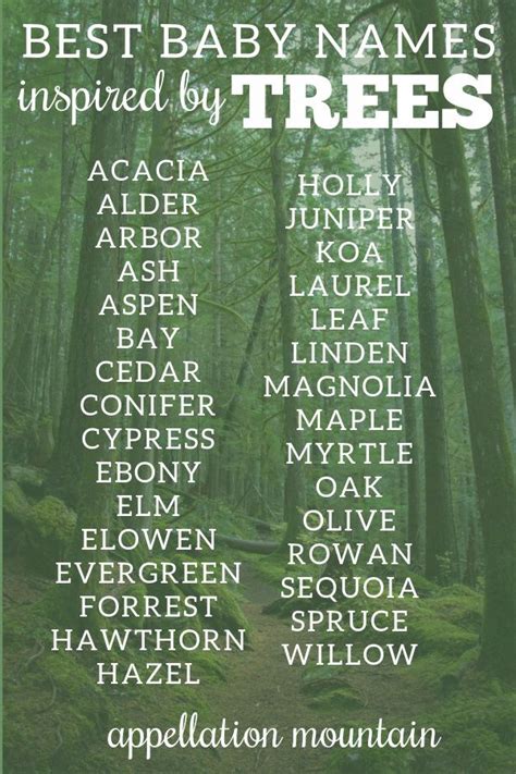 Best Tree Names For Babies Arbor Rowan Acacia Appellation Mountain Baby Names Names