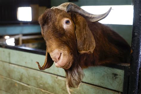 Boost Career With Stack Overflow Developer Tips Newsylist