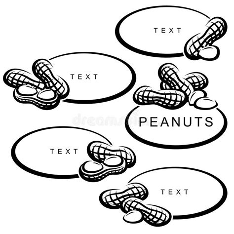 Peanuts Set Collection Icon Peanuts Stock Vector Illustration Of