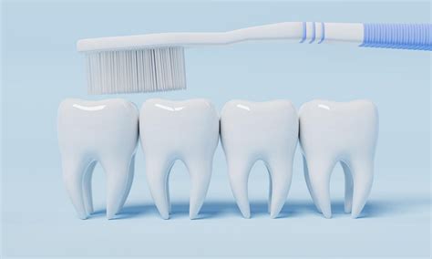 Morphology Of Maxillary Premolars By Dominic Thorncroft Medium