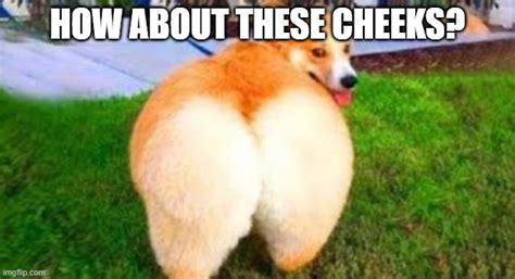 Check Out That Booty Imgflip