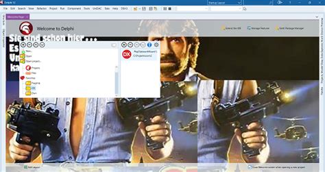 D12 Welcome Page Delphi Ide And Apis Delphi Praxis En