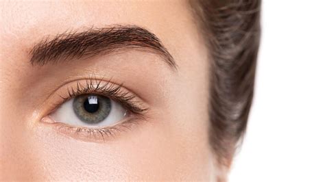 Monolids Vs Double Eyelids Difference