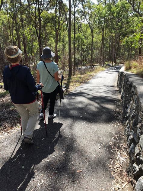 Whites Hill Reserve - Strikhedonia