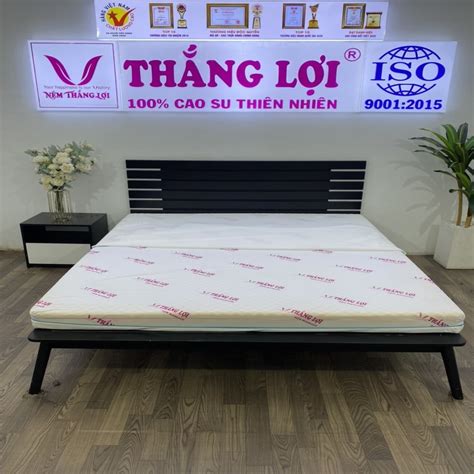 NỆm Foam Cao CẤp Massage ThẮng LỢi TỔng Kho NỆm ThẮng LỢi