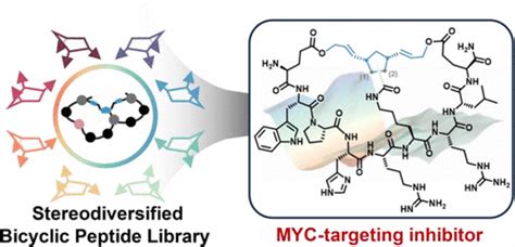 Journal Of The American Chemical Society Vol 146 No 2 Acs Publications