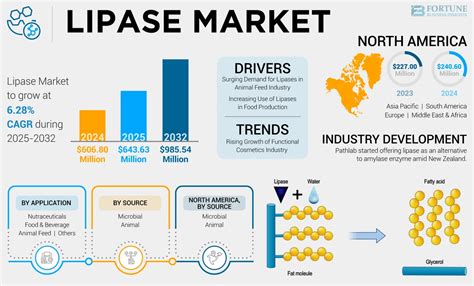 Lipase Market Size Share Growth Analysis Report [2032]