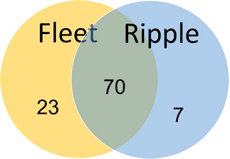 Screening For Silent Data Errors