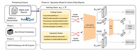 Making The Most Of Text Semantics To Improve Biomedical Vision Language Processing Microsoft