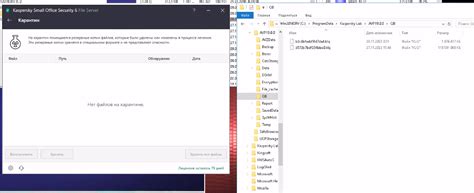 Не удаляются файлы в папке Avp19 0 0 Qb и стандартные способы не помогают Папка весит 120 ГБ