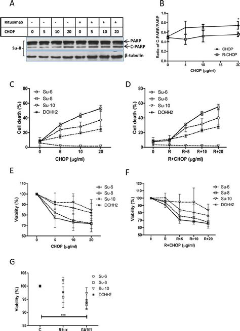 Comparison Of Chop And R Chop Induced Killing In Dlbcl Cell Lines