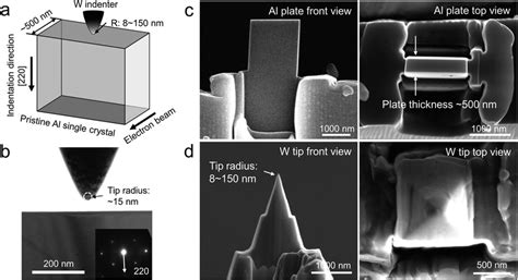 The Experimental Setup For In Situ Nanoindentation A Schematic Download Scientific Diagram