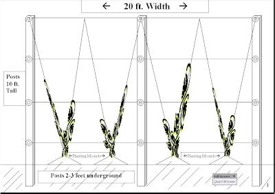 The Hop Cone Cometh Hops Structure Diagram