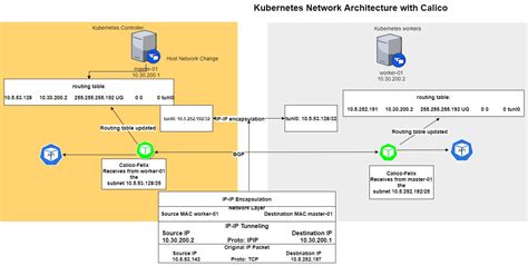 Bigote Contrabando Esperanza Calico Routing Desarmado Maryanne Jones Pepino