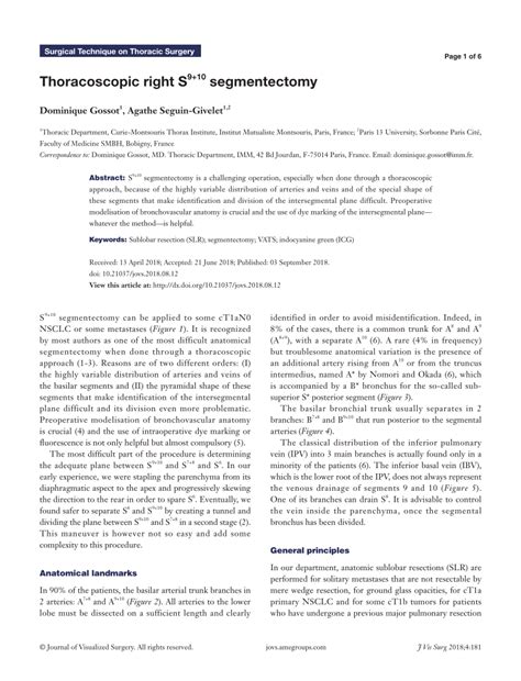 Pdf Thoracoscopic Right S9 10 Segmentectomy
