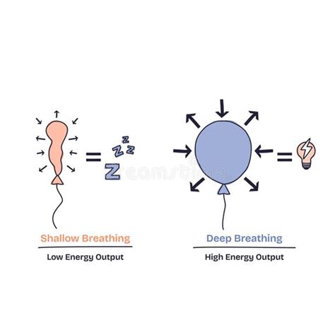 Lung Function Is Shown By Comparing Shallow And Deep Breathing Stock Vector Illustration
