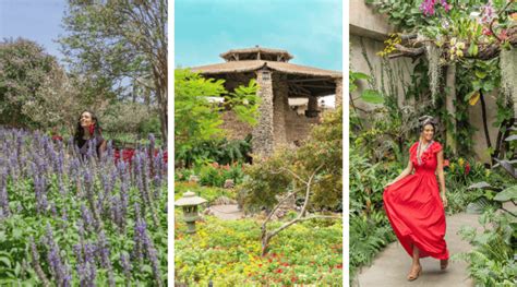Best Things To Do In San Antonio For Spring Break My Curly Adventures