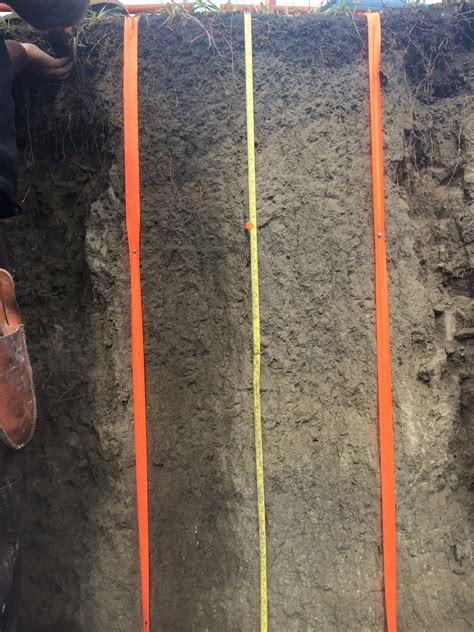 Soil Structure Introduction To Soil Science