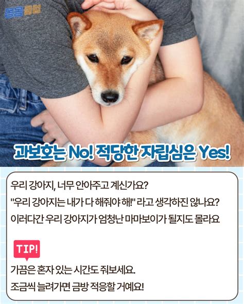 몽몽클럽 반려견을 위한 건강과 행복 가이드🐾 💌저장공유 강아지 성격 엉망으로 만드는 보호자의 행동 6가지 📍자세한 내용은 카드뉴스를 넘기면서 확인해주세요