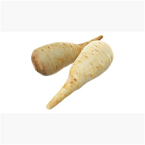 Parsnip 3d Model Download Vegetables On