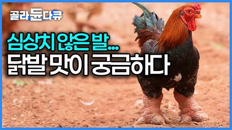 머리는 분명 닭인데 발은 공룡 발 한 마리에 12만 원 드래곤 치킨이라 불리는 동타오 닭｜세계테마기행｜골라듄다큐 Youtube