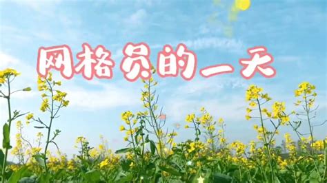 网格员的一天：永昌“蓝精灵”走街串巷主打“陪伴”凤凰网视频凤凰网