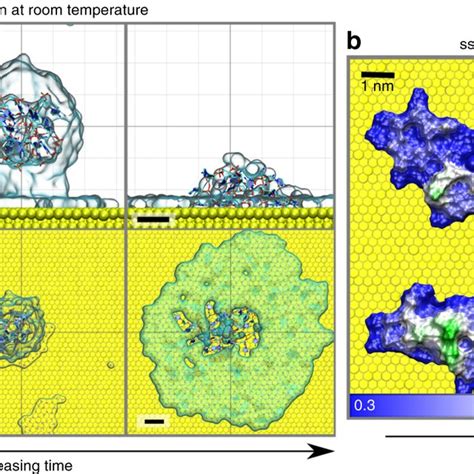 Molecular Dynamics Simulations Of Adsorption And Diffusion On Au111 Download Scientific