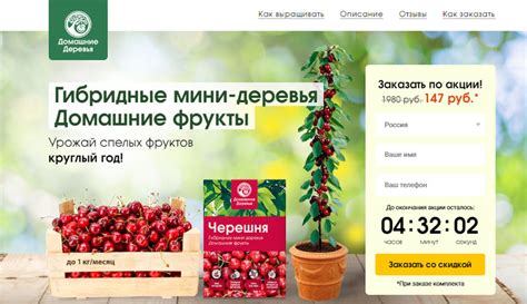 Интернет Магазин Флориум Россия Каталог — Internet-magazin-lux.ru