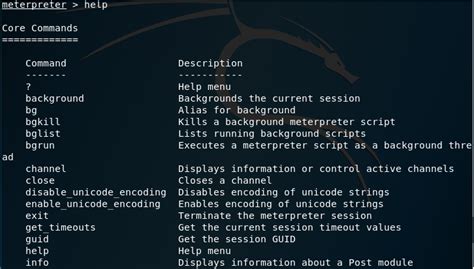 The Most Important Metasploit Commands You Ll Need