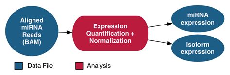 Genomic Data Processing Nci Genomic Data Commons