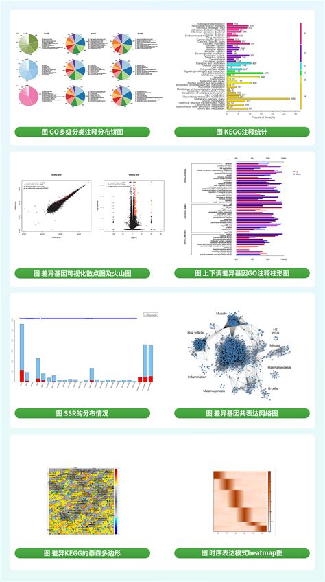 上海凌恩生物科技有限公司