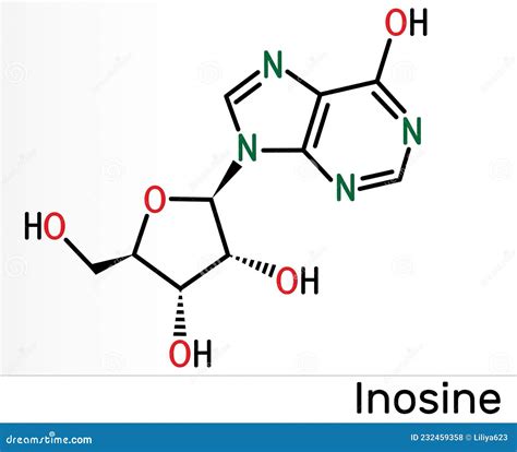 Inosine Molecule It Is Purine Nucleoside Commonly Occurs In Trna Stock Illustration