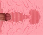 Simul NeTheR Secret Brothel And NTRed Hero Ver Save Uncensor Patch