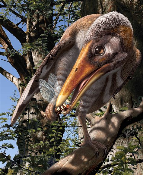 Prehistoric Birds Still Alive