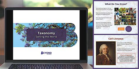 Taxonomy Explained Professor Feito Twinkl