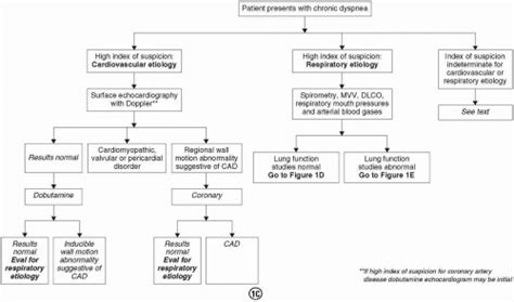 Dyspnea Thoracic Key